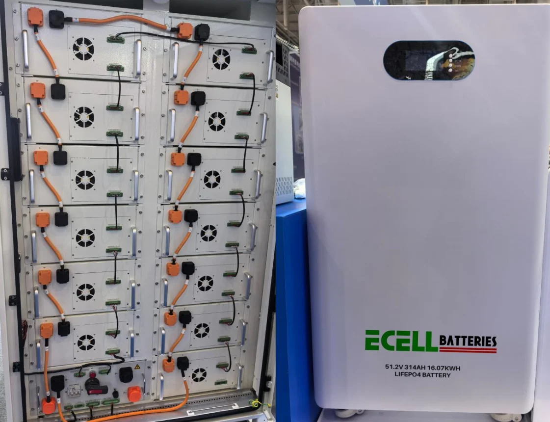 The Heron Island sets sail! ECELL BATTERIES Makes Debut at Xiamen ...